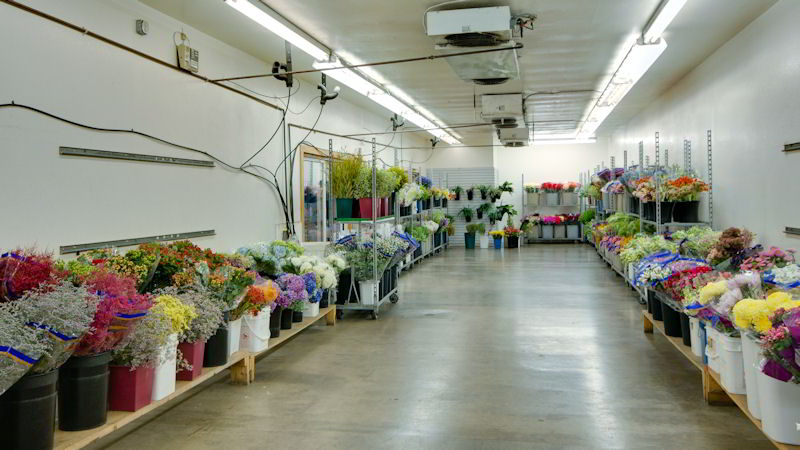 Products Gallery - Anchorage Flower Wholesale